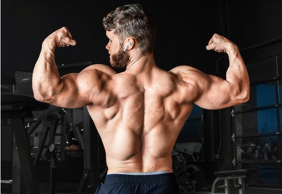 The Ultimate Guide to the Best Back Exercises – A Refined You